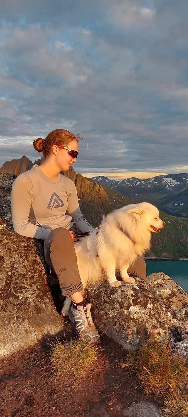 Lufting og passing av store og små hunder